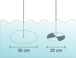 What is Secchi depth and how to measure it